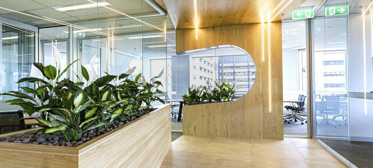 333 Ann Street | Level 11 | The Fitout Studio